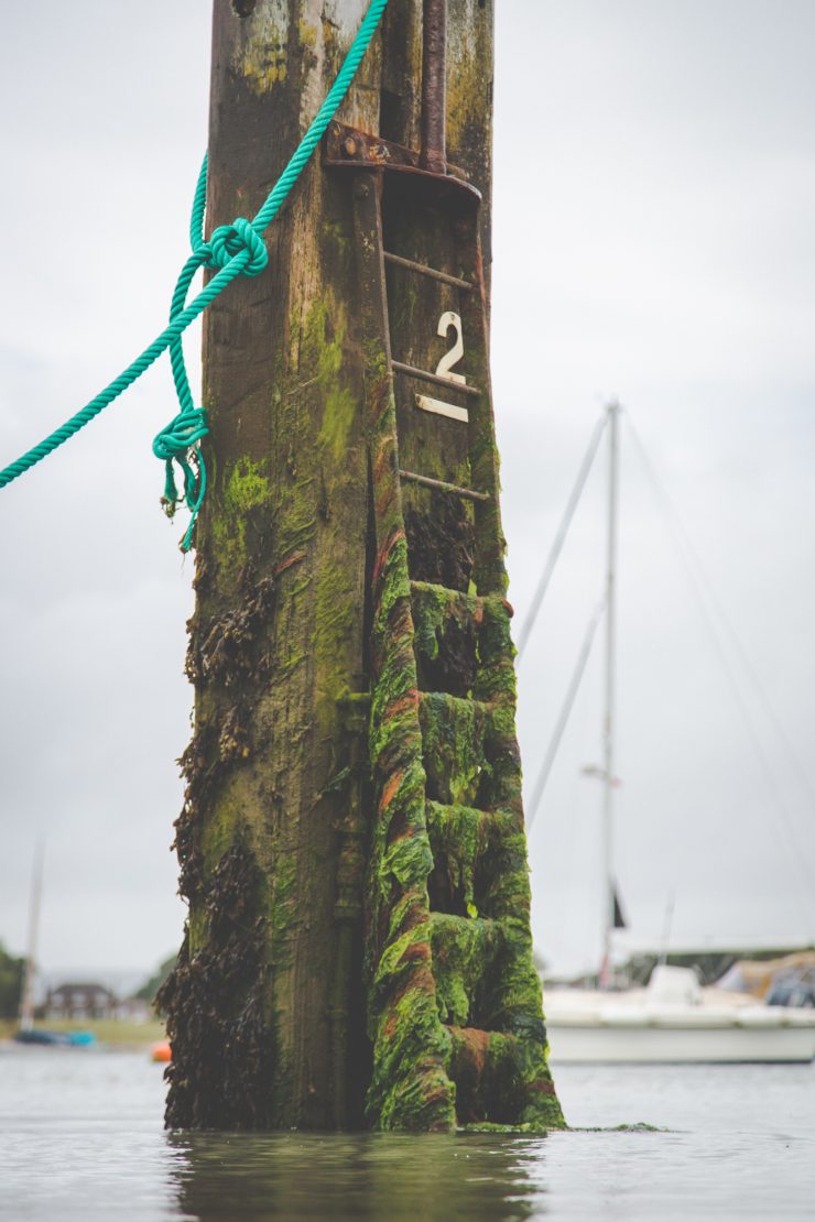 Photos From Nautical Itchenor Photo Walkshop | Strong Island
