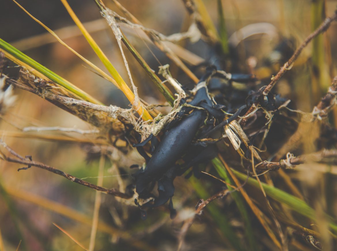 Photos From Explore Historic Milton Lock Photo Walkshop | Strong Island