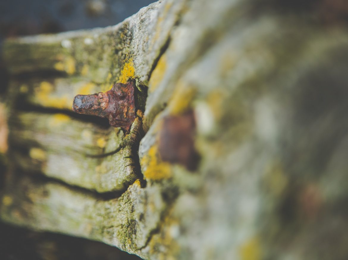 Photos From Explore Historic Milton Lock Photo Walkshop | Strong Island