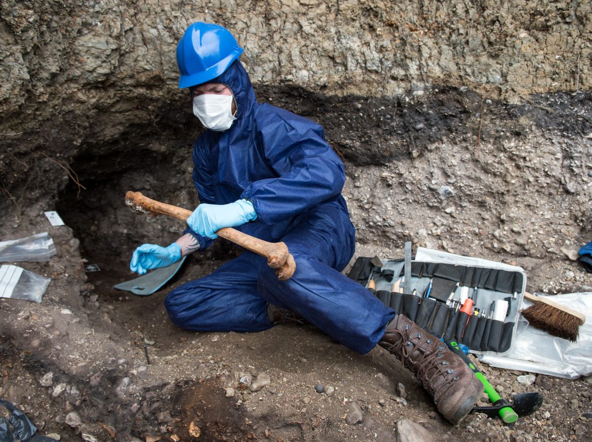 Uncovering the Secrets of Burrow (Rat) Island in Portsmouth Harbour ...