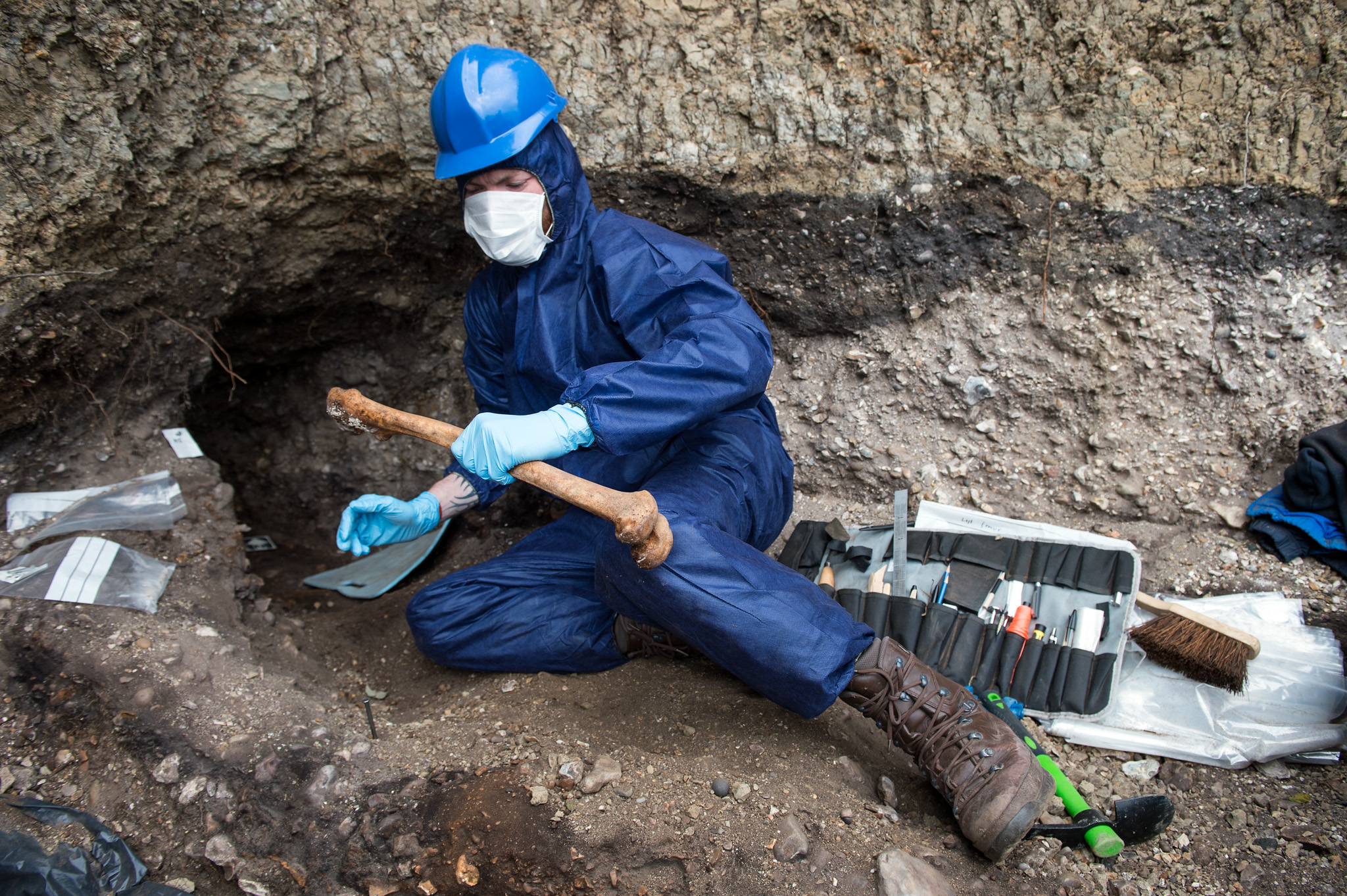 Uncovering the Secrets of Burrow (Rat) Island in Portsmouth Harbour ...