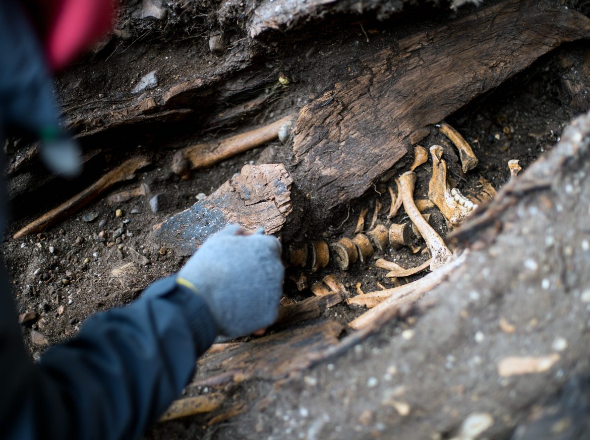 Uncovering the Secrets of Burrow (Rat) Island in Portsmouth Harbour ...