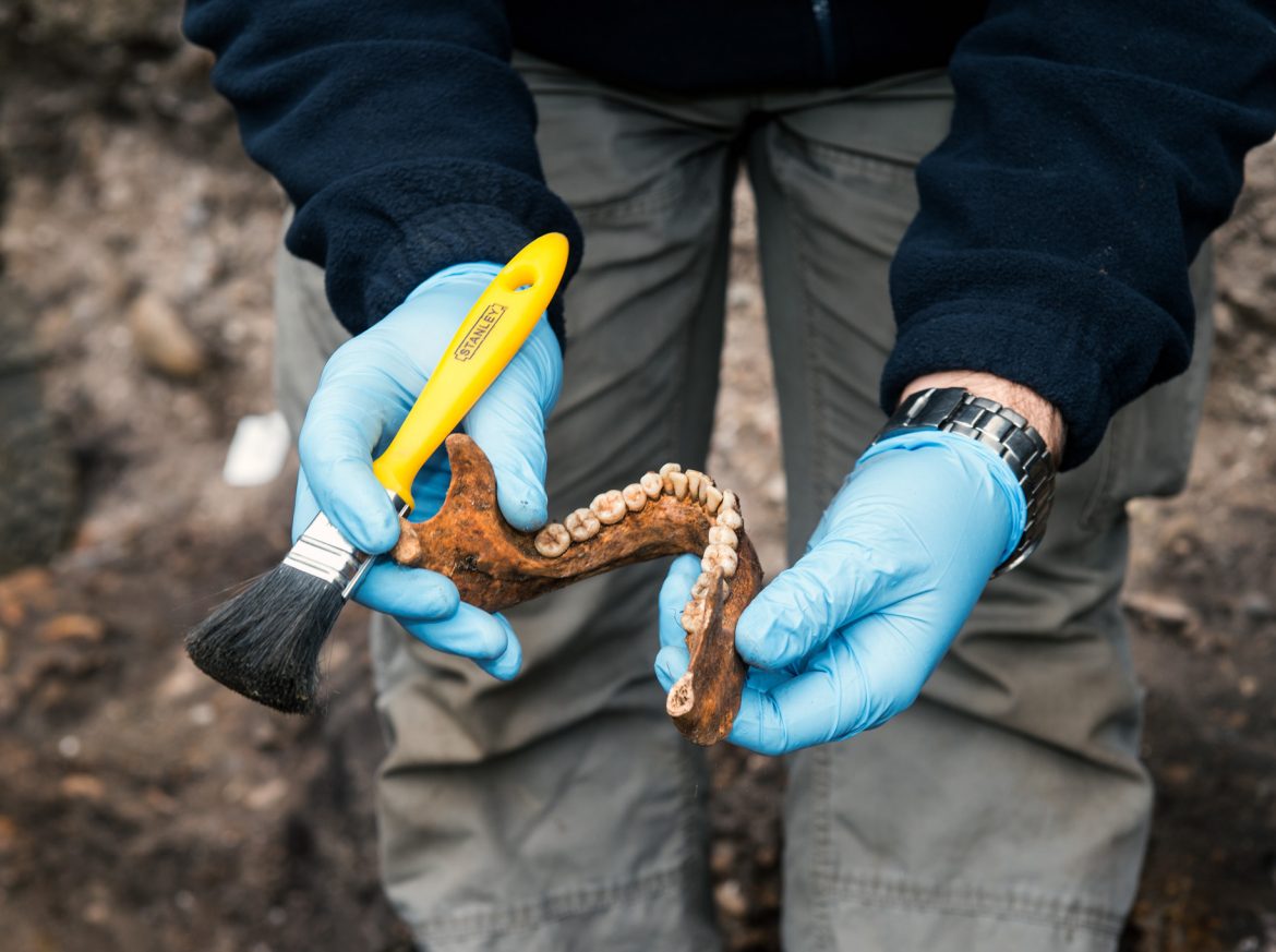 Uncovering the Secrets of Burrow (Rat) Island in Portsmouth Harbour ...